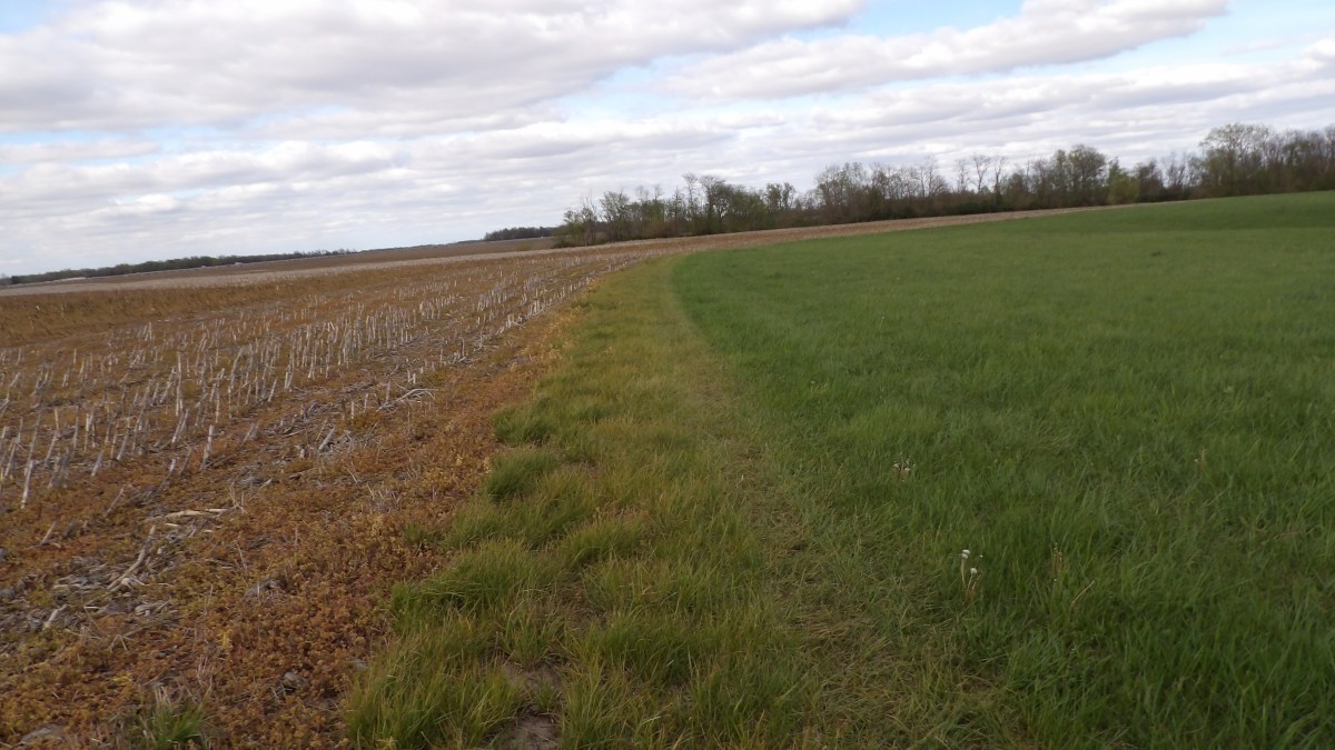 Donald Houston Land Trust Auction – Rahe Appraisal & Auctioneer