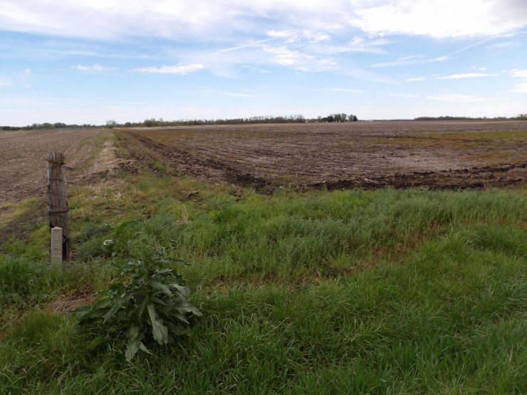 Donald Houston Land Trust Auction – Rahe Appraisal & Auctioneer